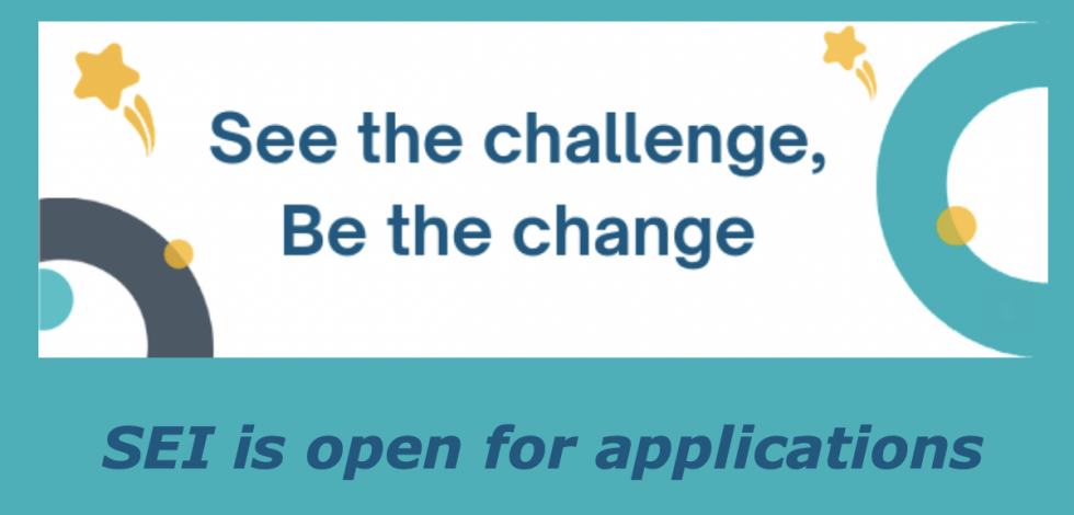 Open for applications – See the challenge, Be the change – #ApplyToSEI ...