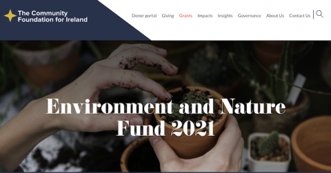 Community Foundation for Ireland: Environment and Nature Fund 2021 ...